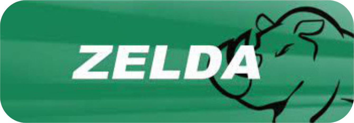 ZELDA 255/45ZR20 105W ARCHFORCE - AC Tyres